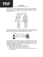 Peta Dermatome dan Inervasi Kulit | PDF