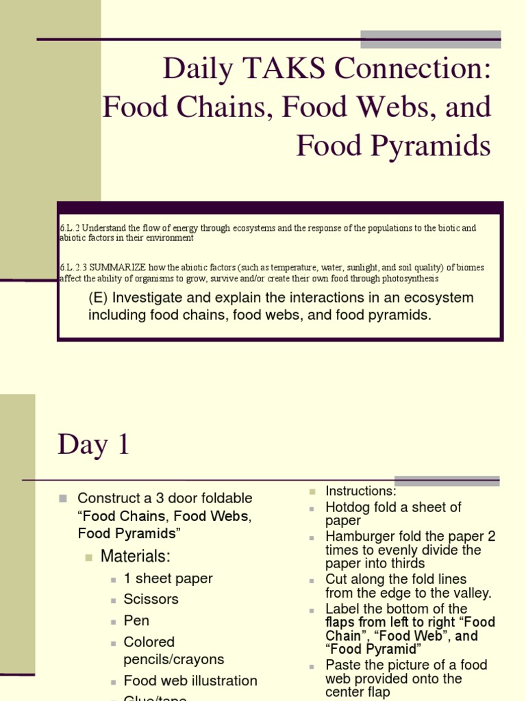 Food Chains, Webs, and Pyramids Foldable | PDF | Food Web | Ecosystem