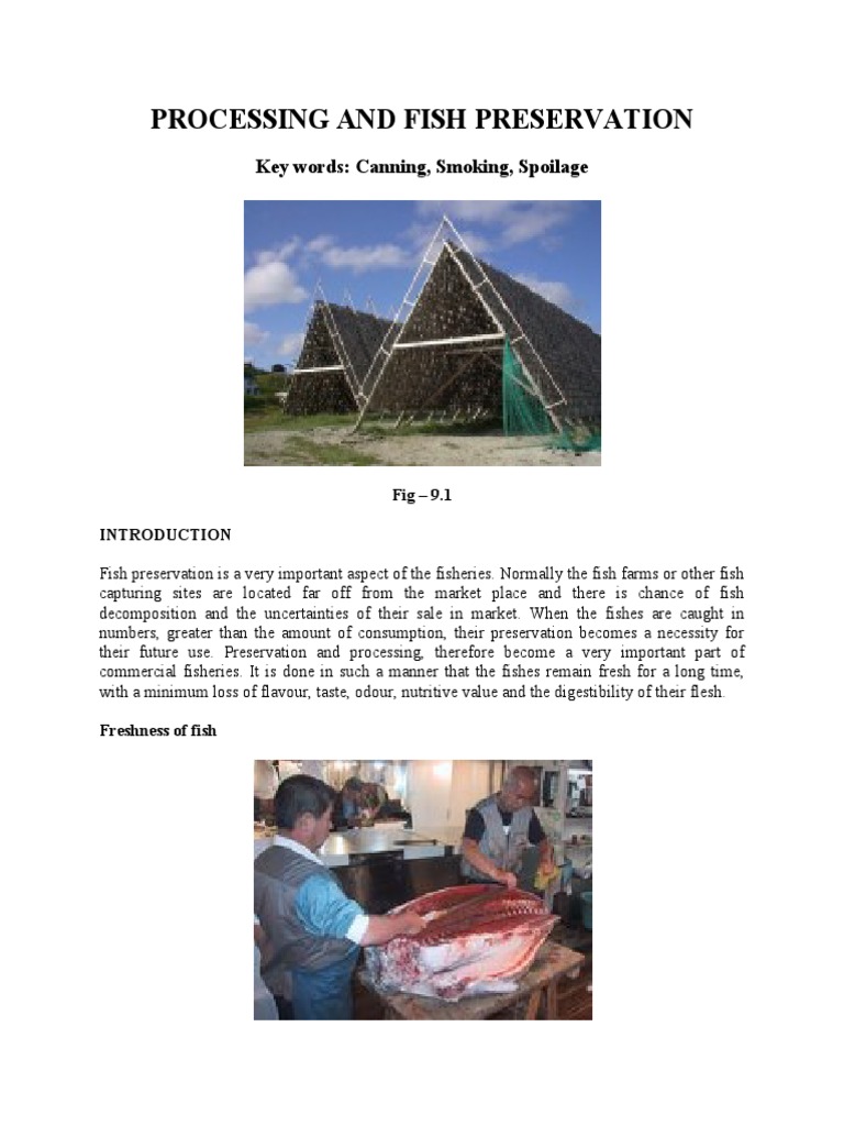 Fish Preservation and Processing Methods | PDF | Ice | Food Preservation