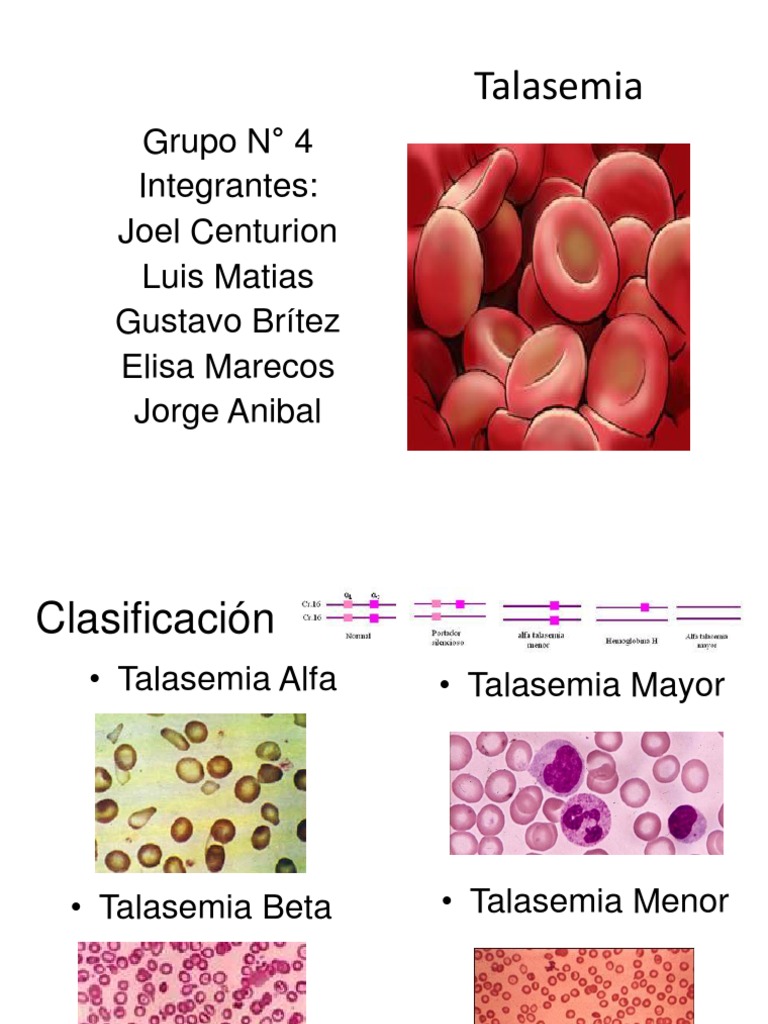 Talasemia | PDF