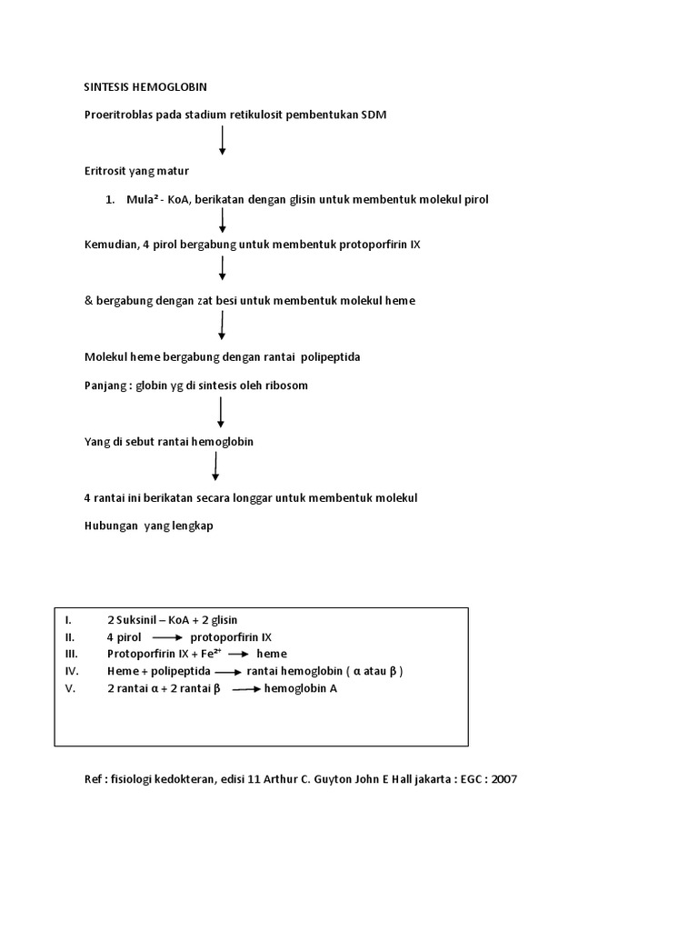 Sintesis Hemoglobin | PDF