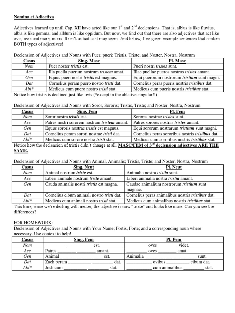 Nom Acc Gen Dat Abl : Nomina Et Adiectiva | PDF | Linguistic Typology ...