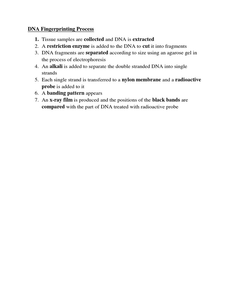 DNA Fingerprinting Process Steps | PDF
