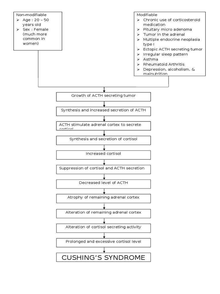 Cushing's Syndrome Pathophysiology Overview | PDF