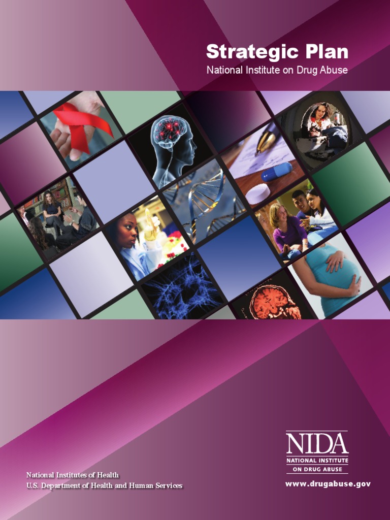 Strategic Plan: National Institute On Drug Abuse | PDF | Substance Use ...