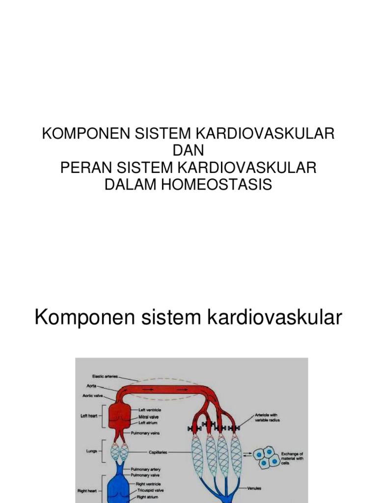sistem Kardiovaskular ppt