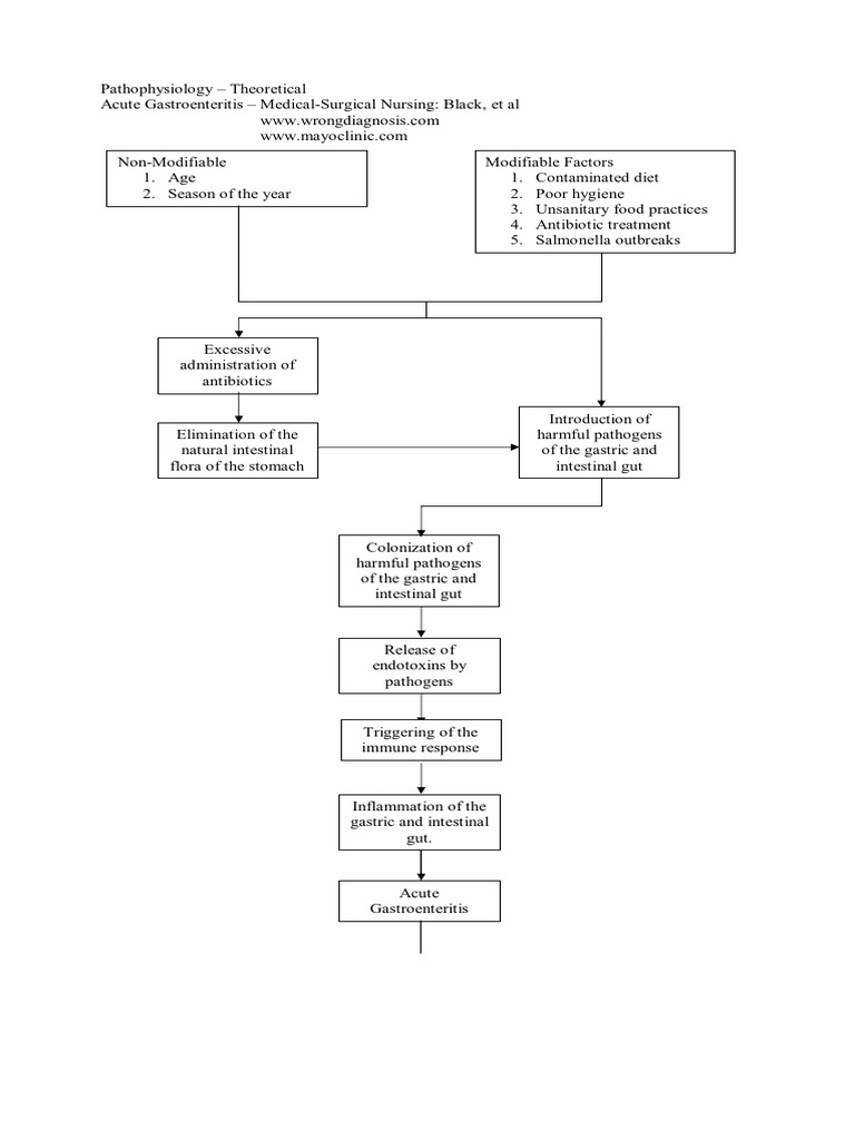 48330008 Pathophysiology AGE