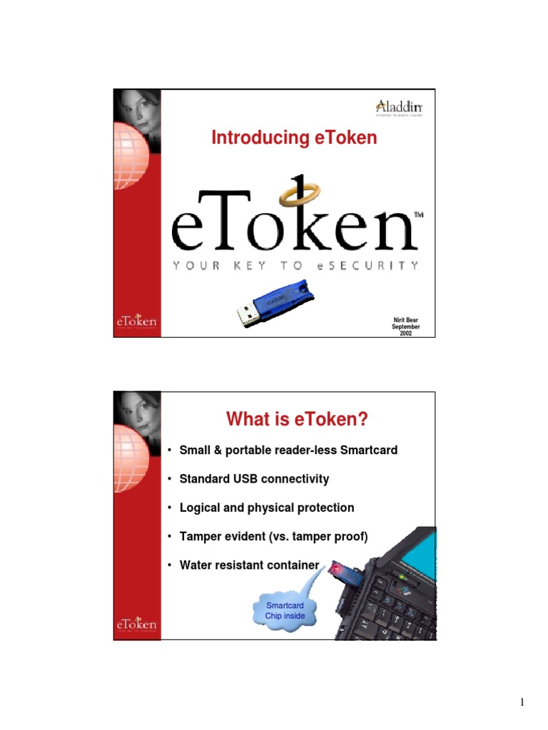 Ghid e Token | PDF | Smart Card | Key (Cryptography)