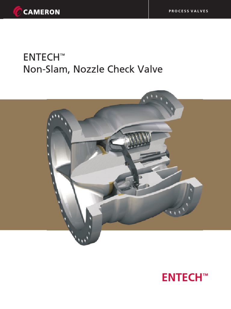 Nozzle Check Valves | PDF | Valve | Nozzle
