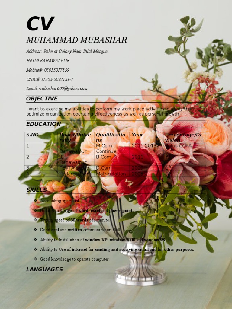 Muhammad Mubashar's CV Summary | PDF | Computers