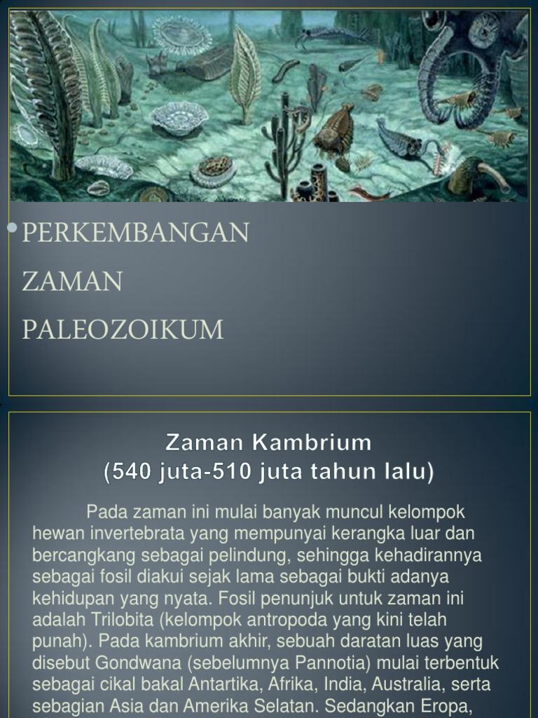 Paleozoikum | PDF