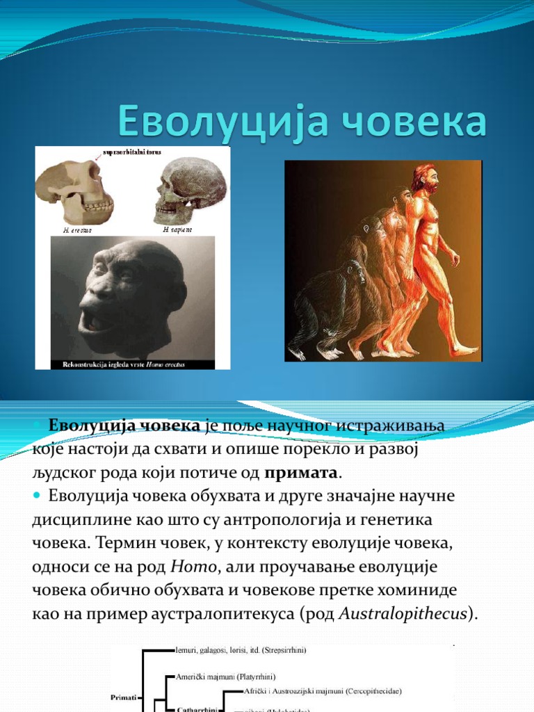Evolucija Coveka | PDF