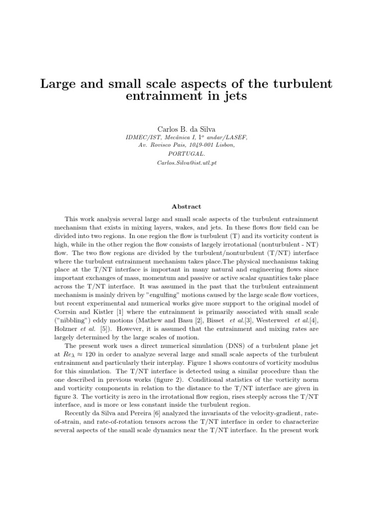 Large and Small Scale Aspects of The Turbulent Entrainment in Jets ...