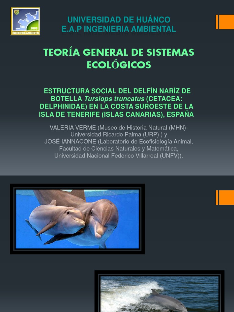 Tursiops Truncatus | PDF | Cetáceos | Organismos