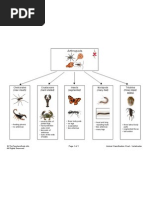 Animal Classification Chart - Invertebrates | PDF | Invertebrate | Zoology