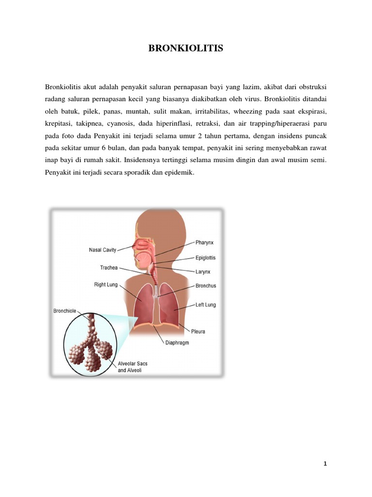 Fix Bronkiolitis Patofisiologi PDF | PDF | Pengembangan Diri ...