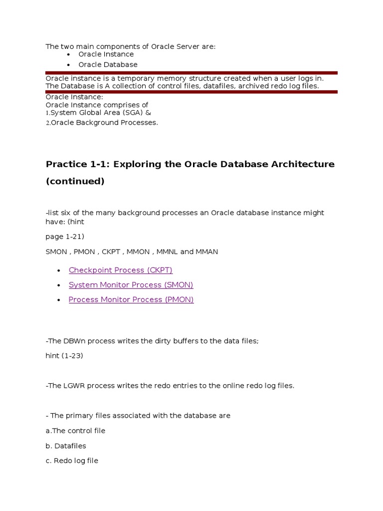 Oracle Database Architecture Guide | PDF | Computers