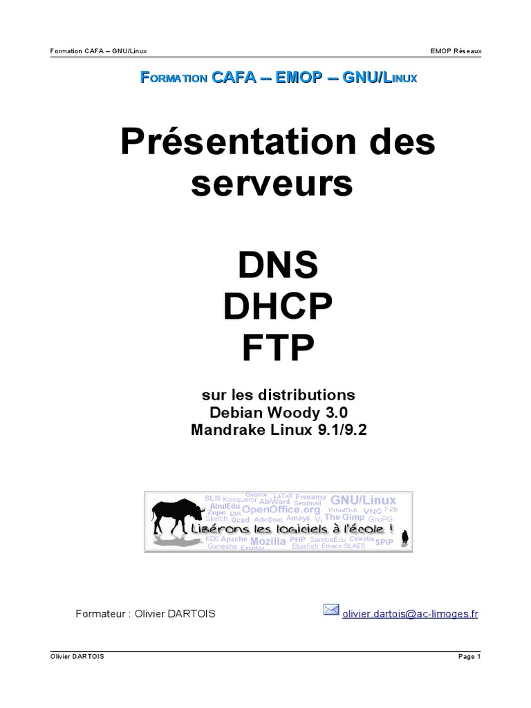 Services DNS, DHCP et FTP sous Linux | PDF | Outil d'emballage avancé ...