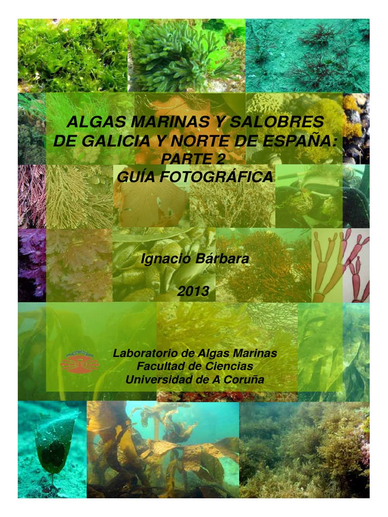 ALGAS-GALICIA-GUÍA-FOTOFRÁFICA-2013 | Algas | Organismos acuáticos