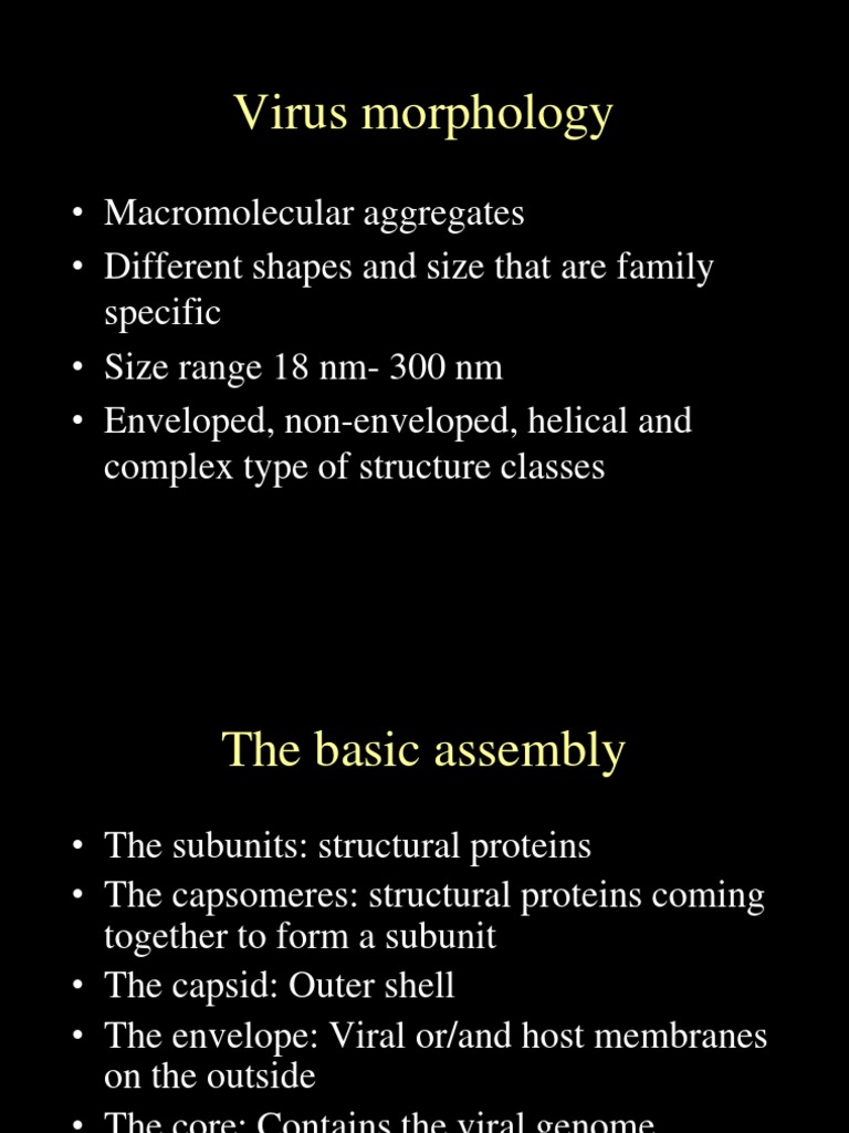 Virus Morphology | PDF | Virus | Structural Biology