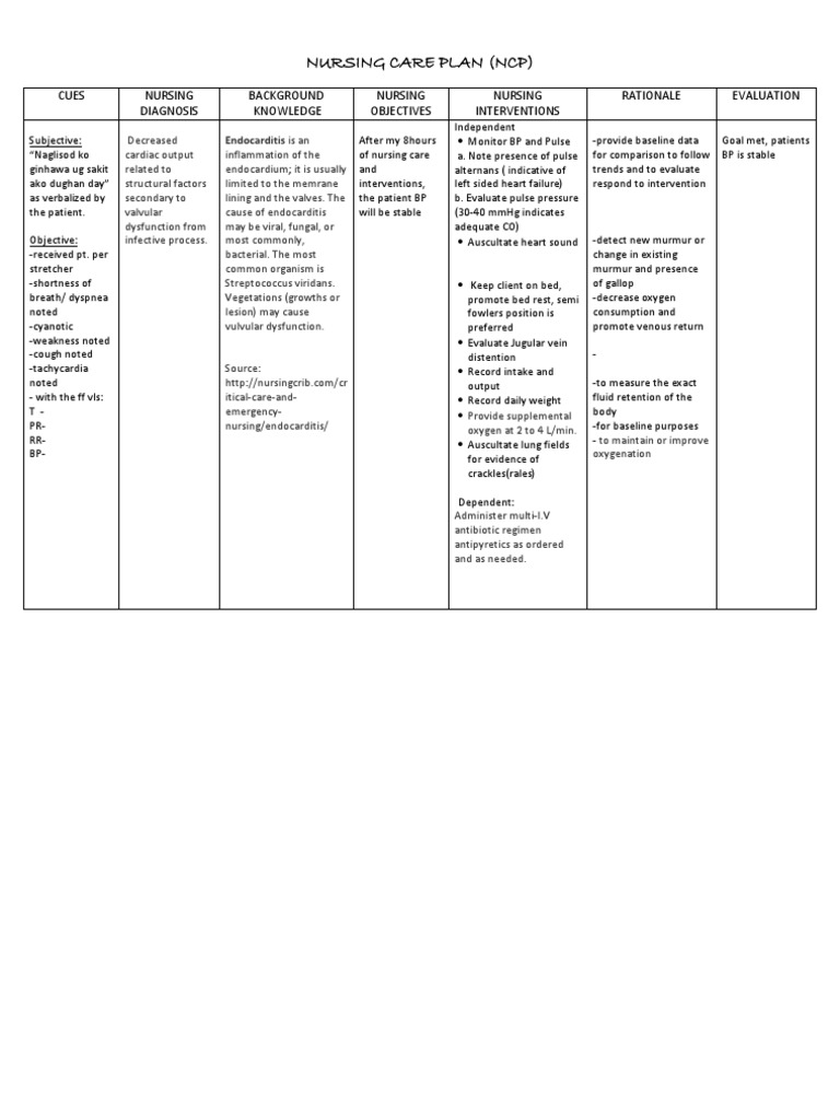Endocarditis Nursing Care Plan | PDF | Heart | Epidemiology
