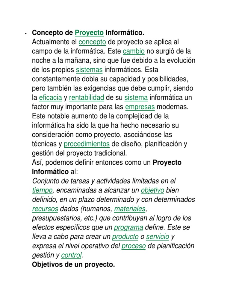 Concepto de Proyecto Informático | PDF | Ingeniería de software | Software