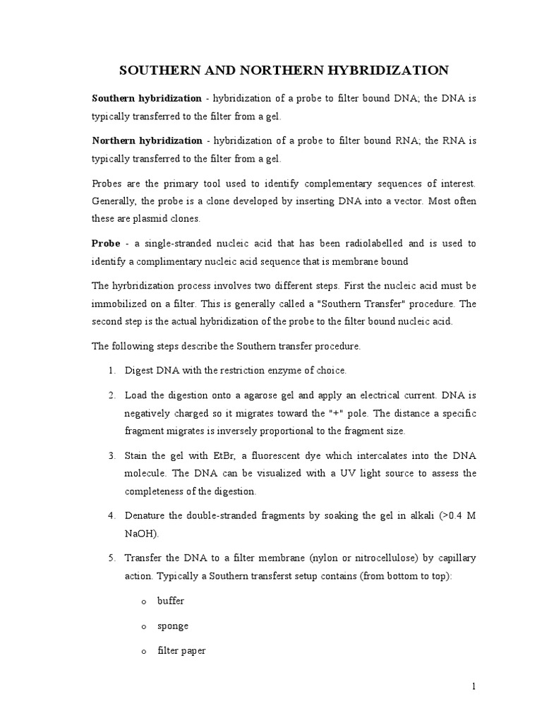 Southern and Northern Hybridization | PDF | Northern Blot | Gel ...