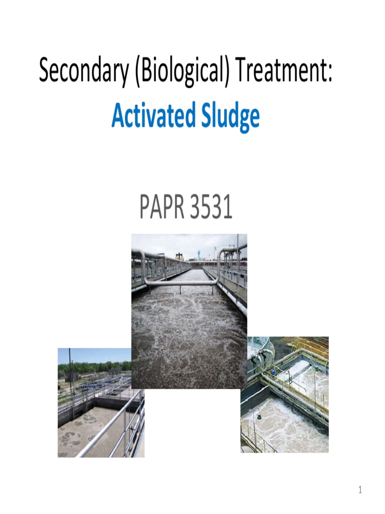 Activated Sludge PDF