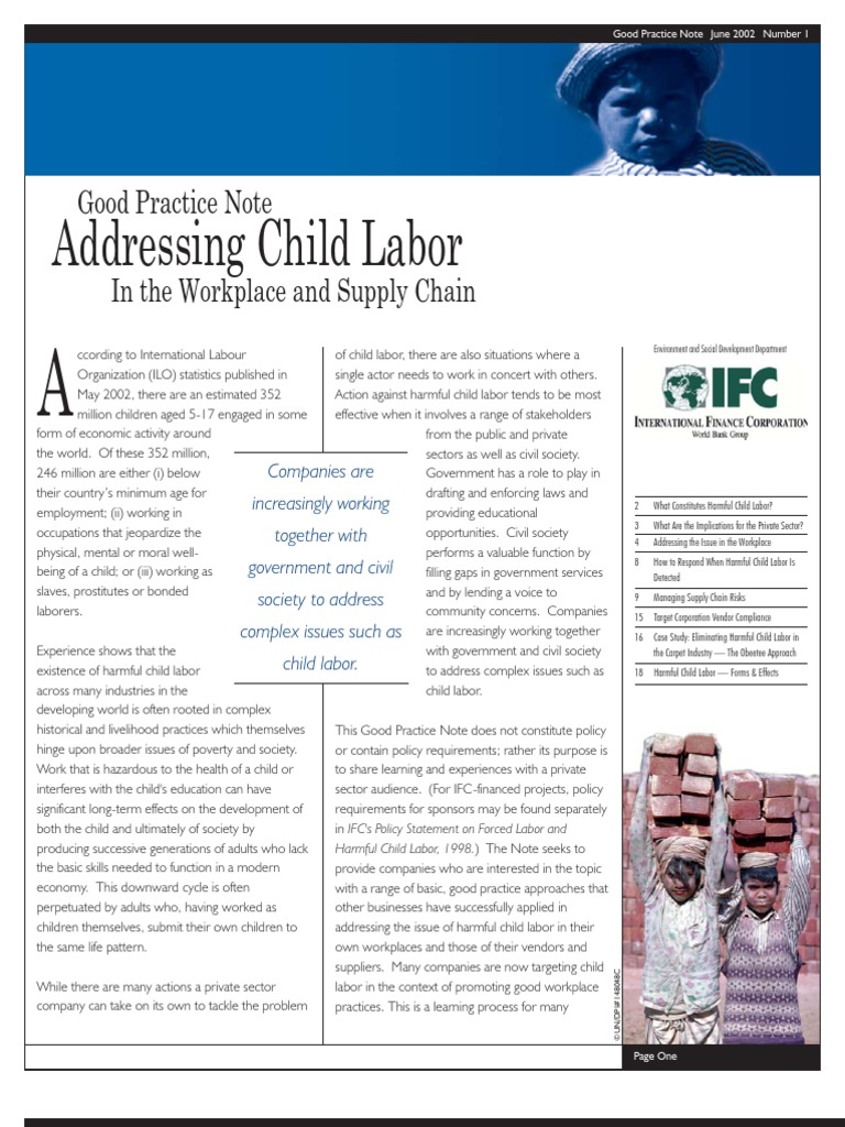 Addressing Harmful Child Labor Practices | PDF | Child Labour | Labour ...