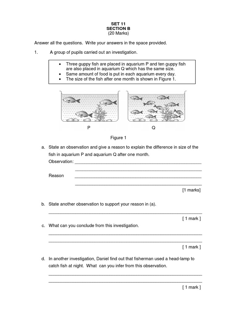 Set 11 | PDF | Physical Sciences | Nature