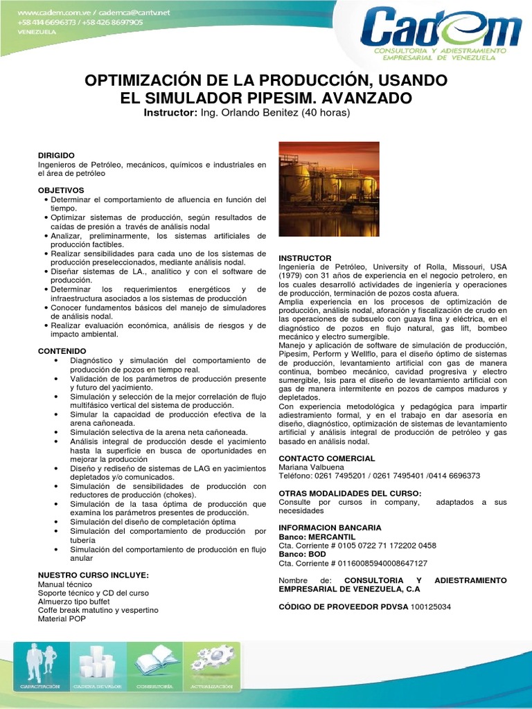 Simulador Pipesim | PDF | Simulación | Ingeniería