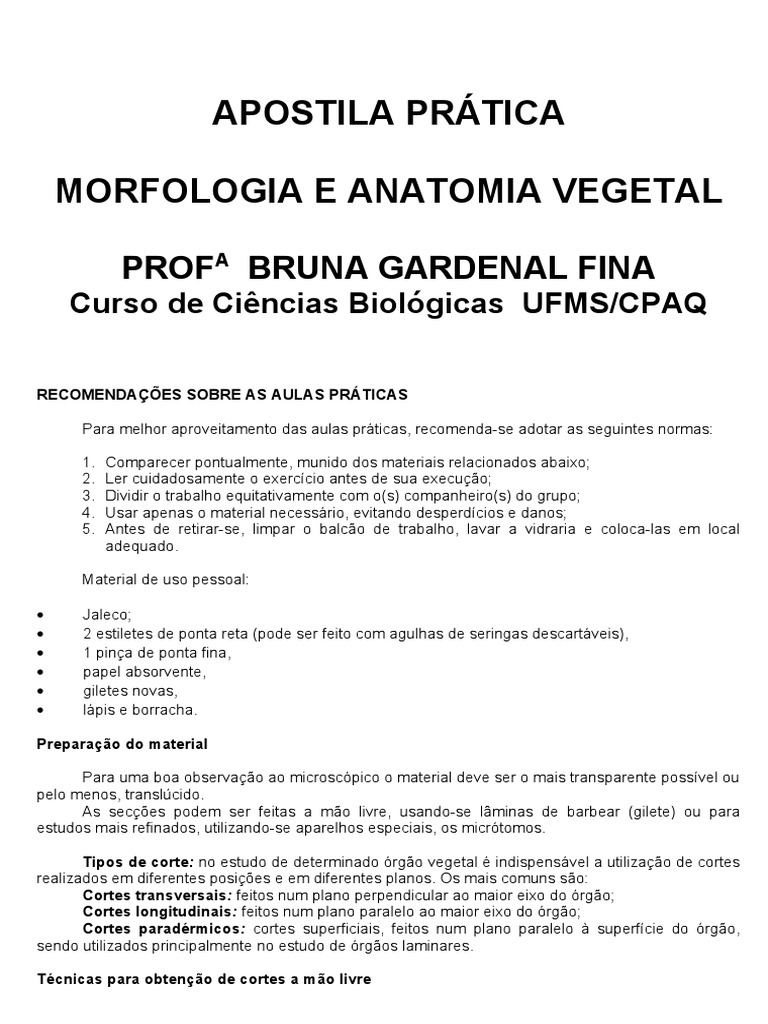 Técnicas Práticas em Morfologia Vegetal | PDF | Raiz | Morfologia vegetal