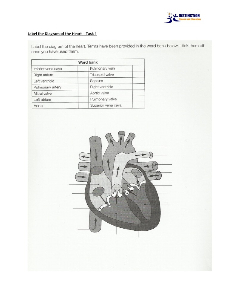 Label The Diagram of The Heart | PDF | Heart | Cardiovascular System
