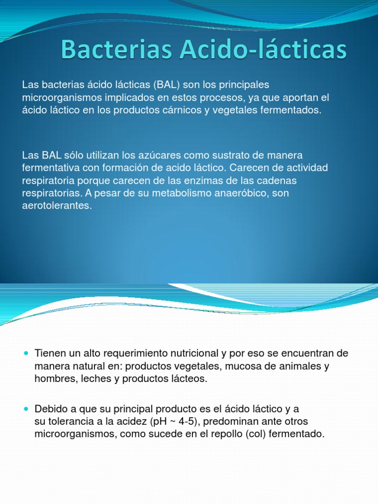 Bacterias Acido-Lácticas | PDF | Fermentación | Comida y bebida