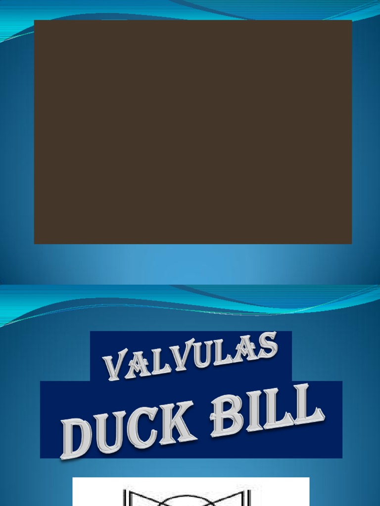 Valvula Duck Bill | PDF | Tecnologías de gas | Dinámica de fluidos