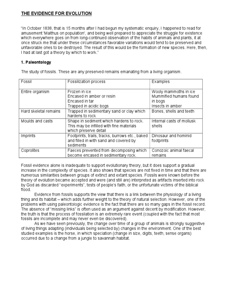 Evidence For Evolution Pdf Fossil Life