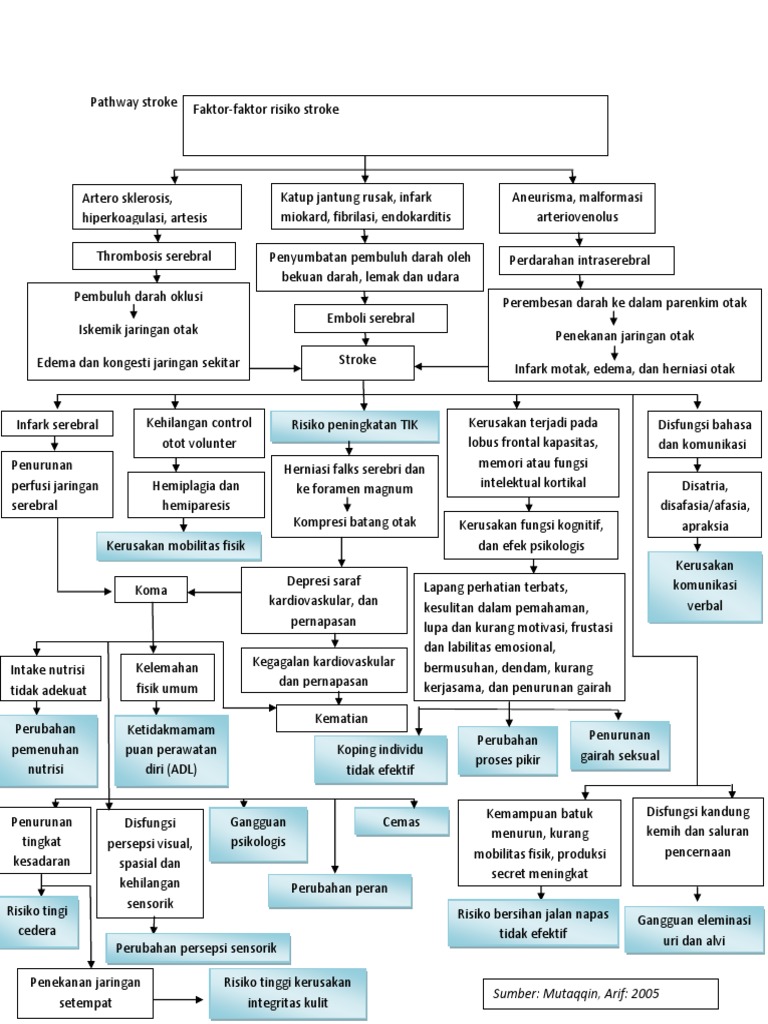 Pathway Stroke | PDF | Kesehatan Holistik
