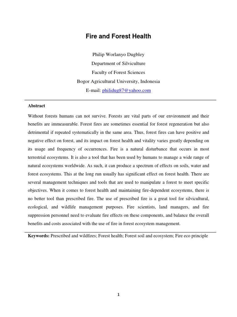 Forest Fire Paper | Wildfire | Ecosystem