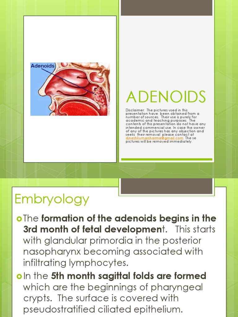 Throat Pharynx Adenoids ENT Lectures | PDF | Medicine | Human Anatomy