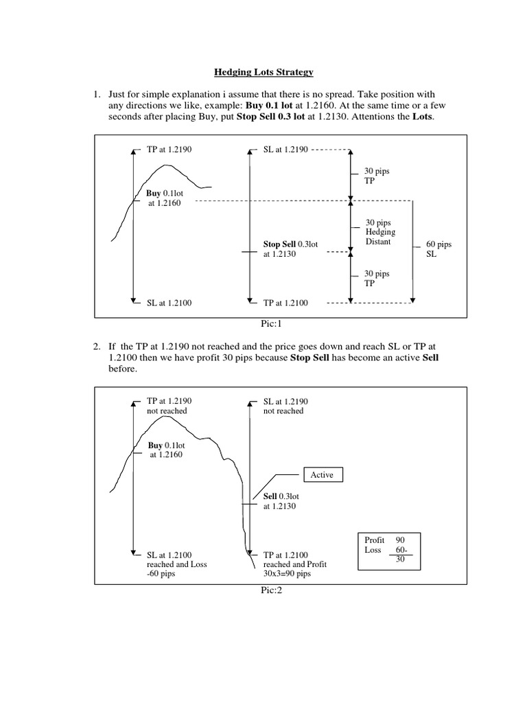 Hedging Lot Strategy | PDF | Hedge (Finance) | Profit (Accounting)