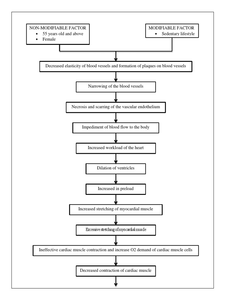 Pathophysiology CHF