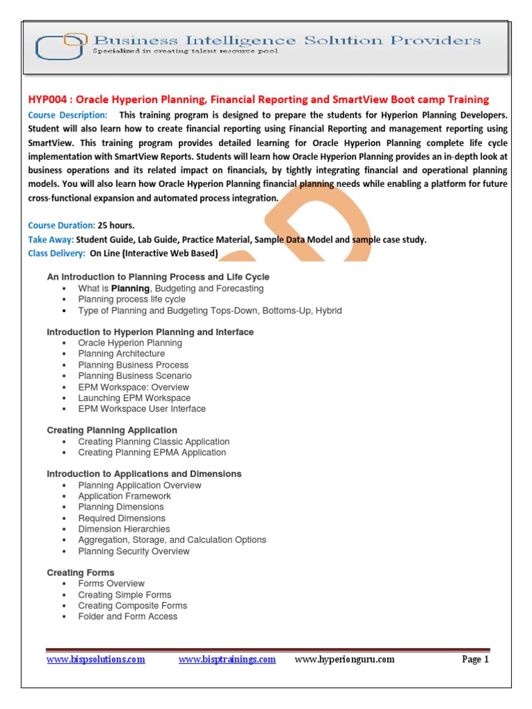 Oracle Hyperion Planning | PDF | Business Process | Application Software