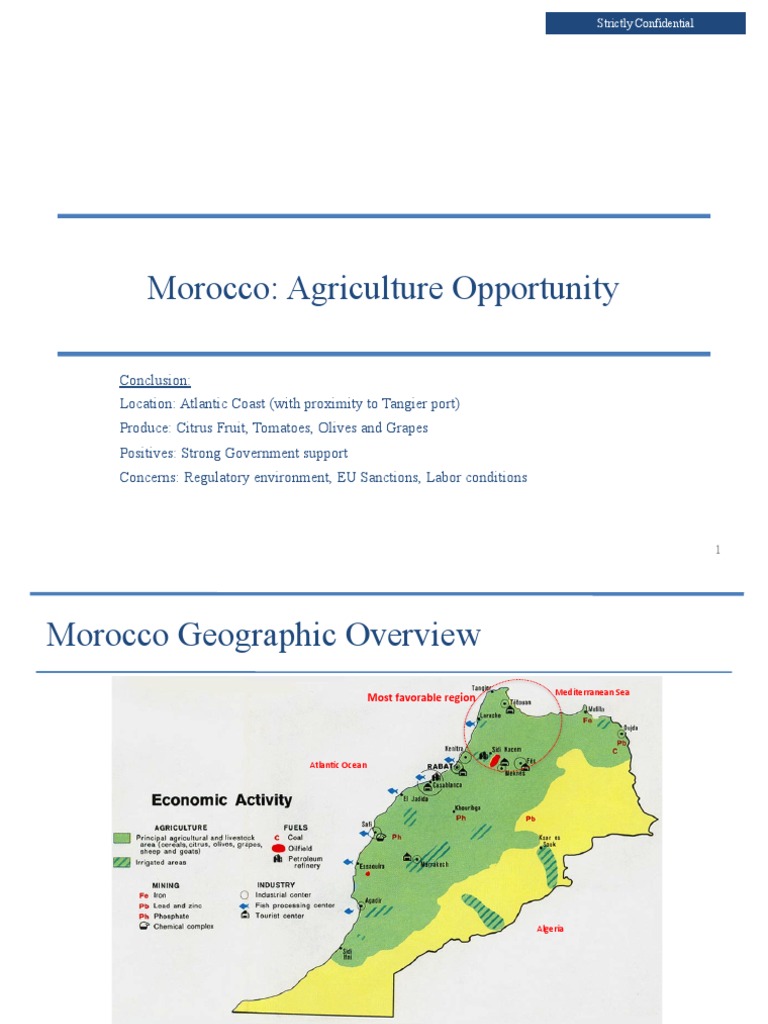 Farming in Morocco | Wheat | Morocco