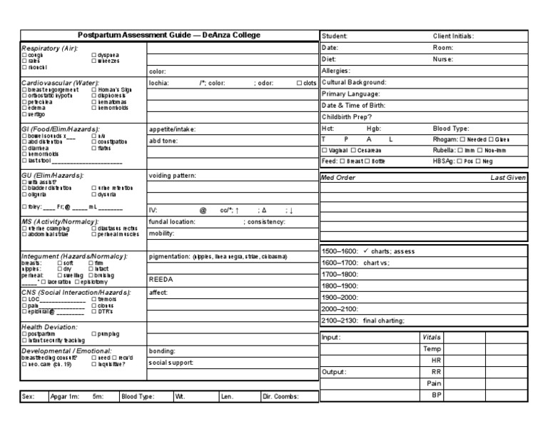 Patient Worksheet - Postpartum 1-Patient | PDF | Postpartum Period ...