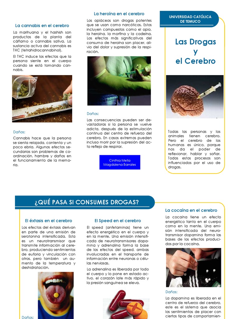 Triptico Drogas y Cerebro | PDF | Cannabis (Droga) | Heroína