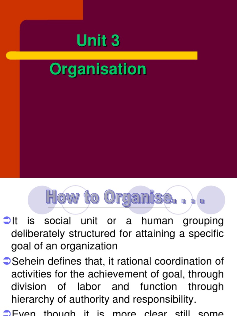 Unit 3-Organizing | PDF | Division Of Labour | Goal
