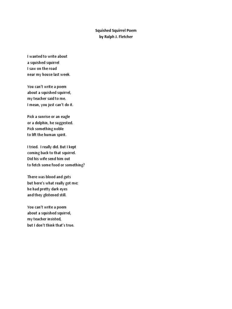 Squished Squirrel Poem | PDF