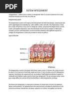 Comparative Vertebrate Anatomy - Integumentary System | PDF ...