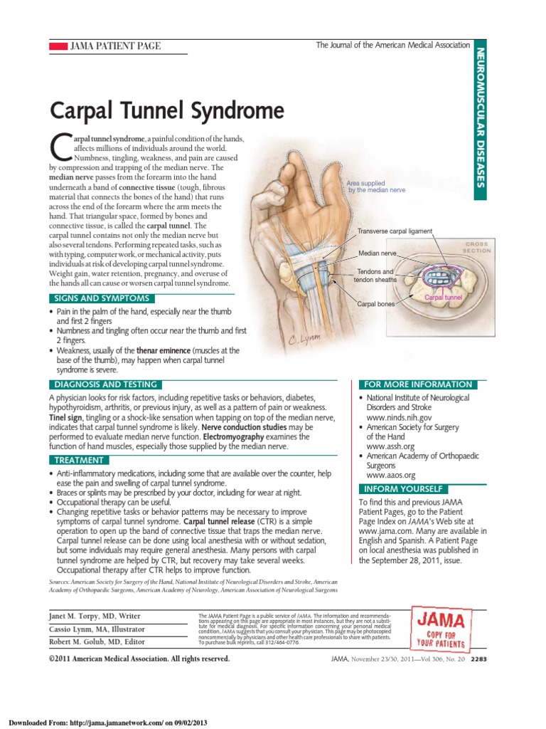 Carpal Tunnel Syndrome: Jama Patient Page | Download Free PDF | Carpal ...