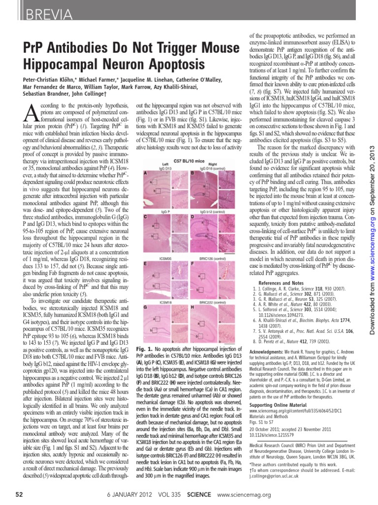 TMP 94 A0 | Download Free PDF | Antibody | Immunoglobulin G